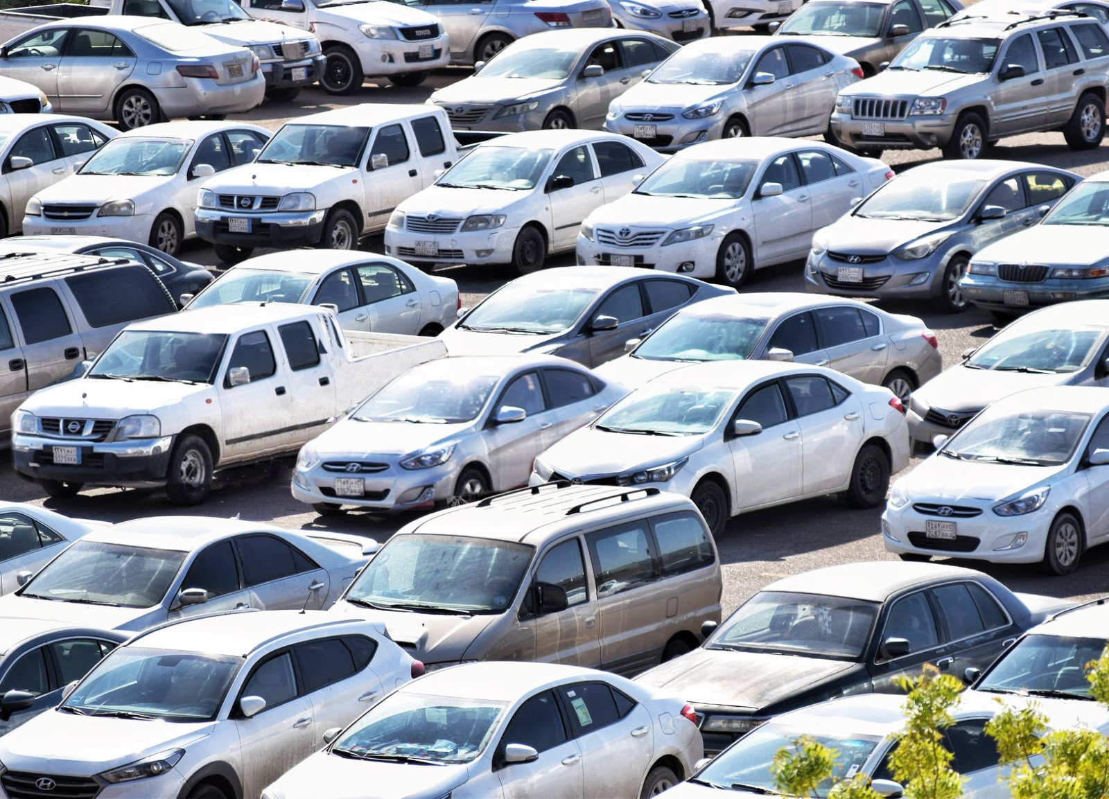 Breaking the Mold: Your Guide to Personalizing Your Car with Clings, M ...