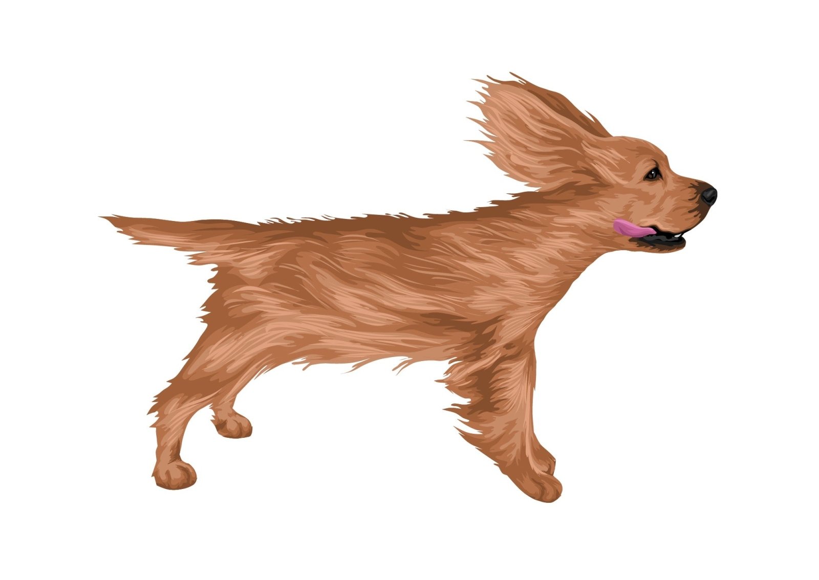 Life-Sized Cocker Spaniel Decal — Cover-Alls Decals