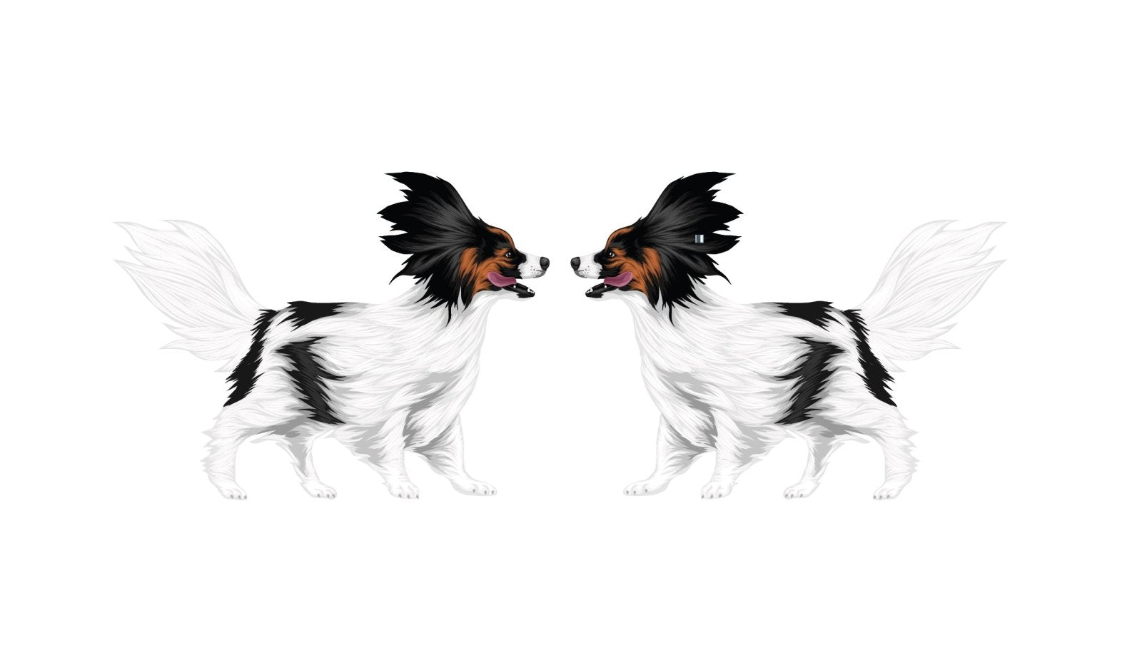 Life-Sized Papillon Decals — Cover-Alls Decals